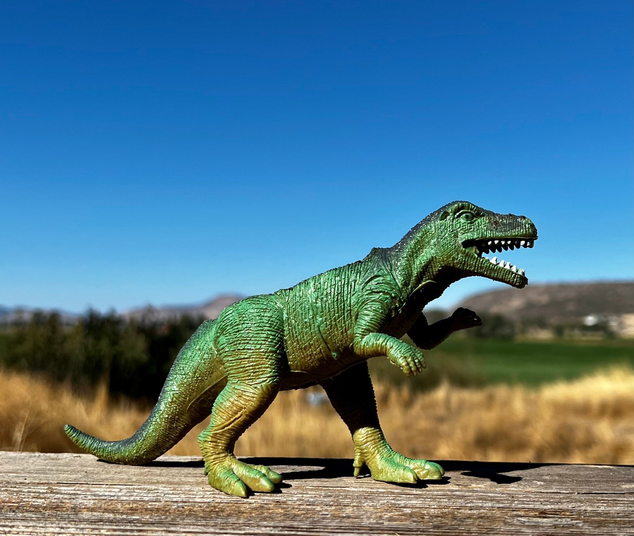 Dinosaur Plant Pot ALAN the Allosaurus - Etsy