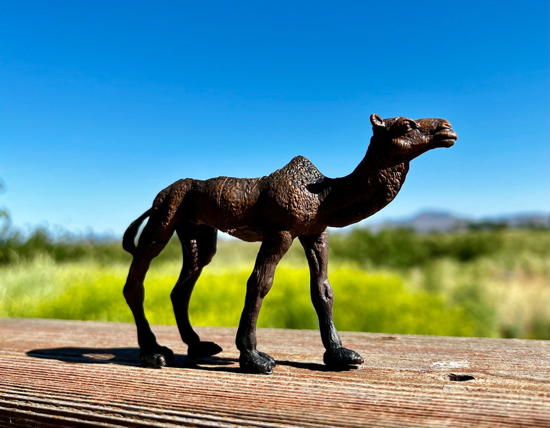 Camel Plant Pot CARMEL - Etsy