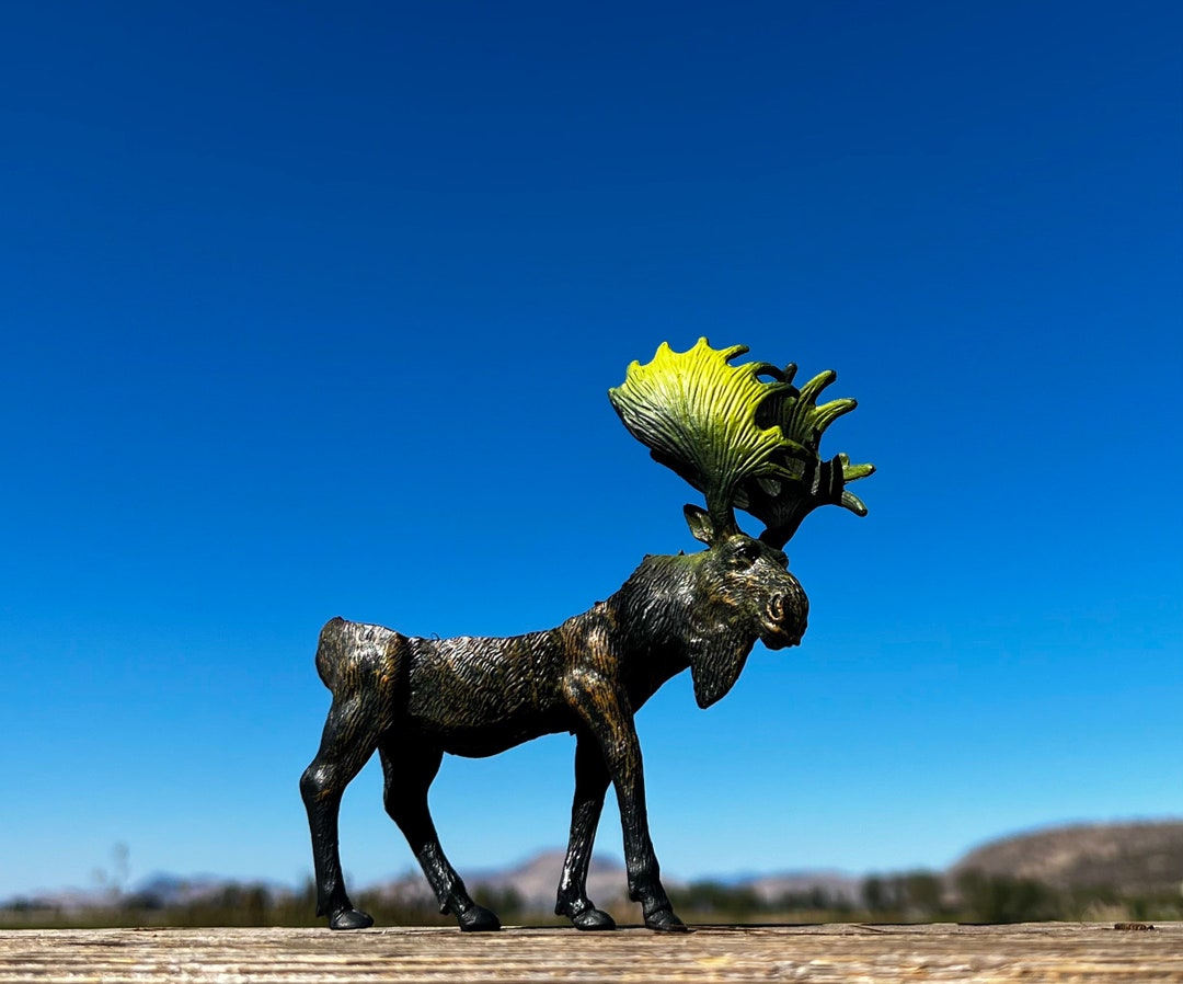 Moose Plant Pot MICHELOB - Etsy