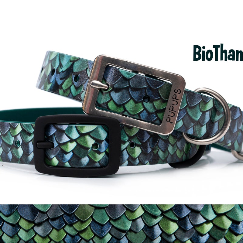 Dragon Dog Collar - Etsy