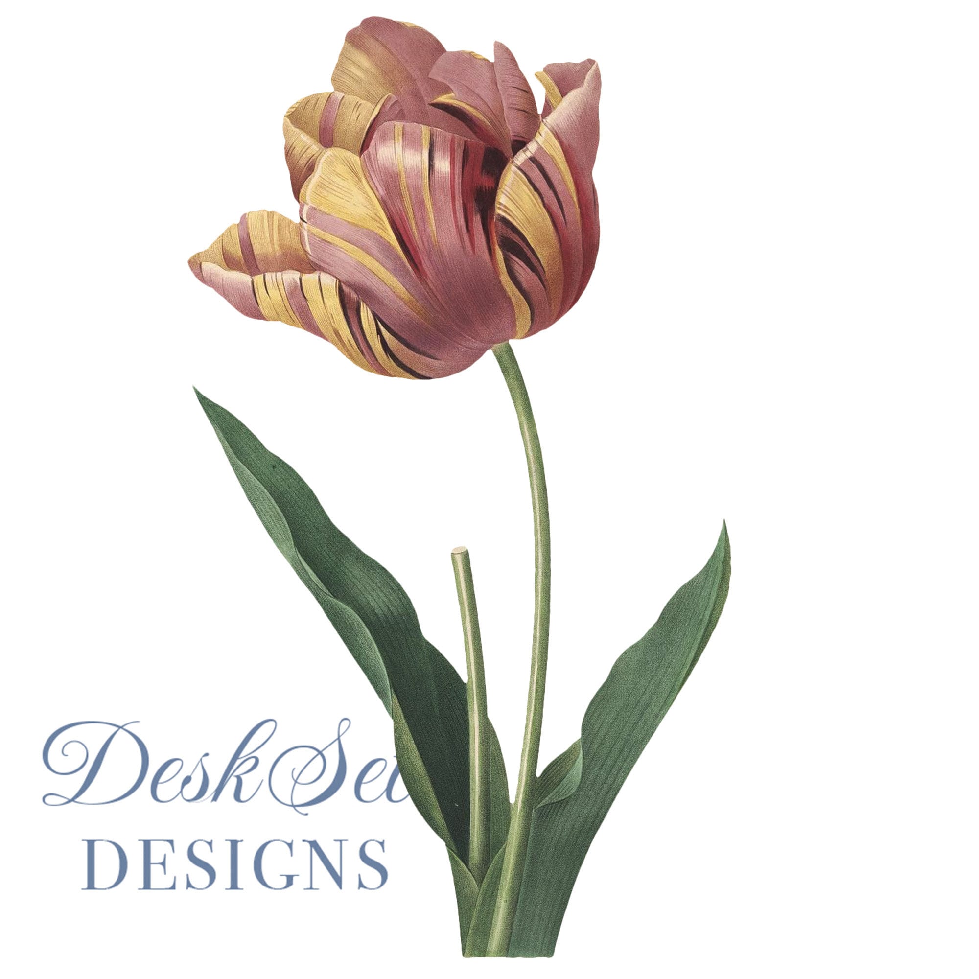 Customer Service Counter Clipart Flower