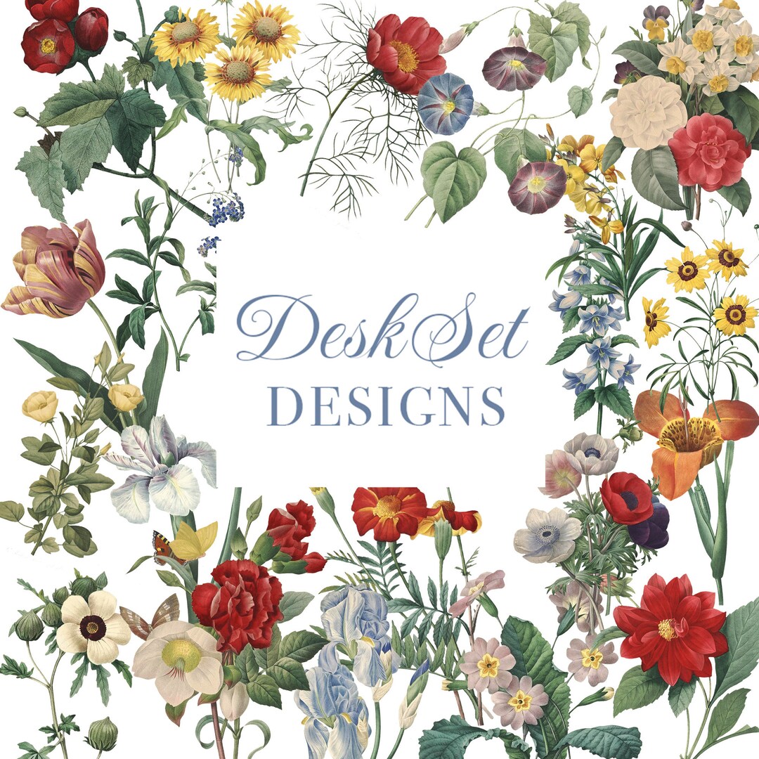 Floral Clip Art, Vintage Florals, Vintage Flower Clip Art, Botanical ...