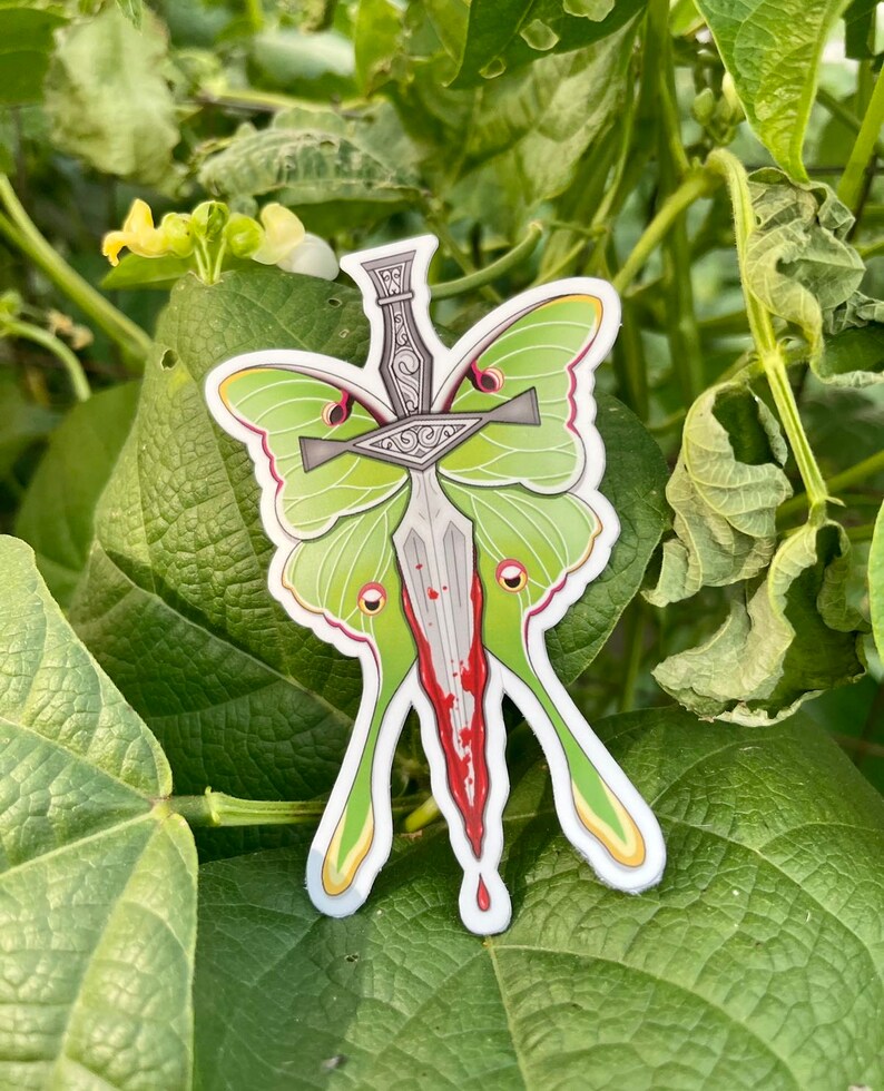 Luna Moth Sticker - Etsy