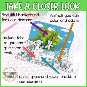 Pond Habitat Diorama Printable Craft Activity Swamp Theme Diorama ...