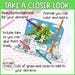 Pond Habitat Diorama Printable Craft Activity Swamp Theme Diorama ...