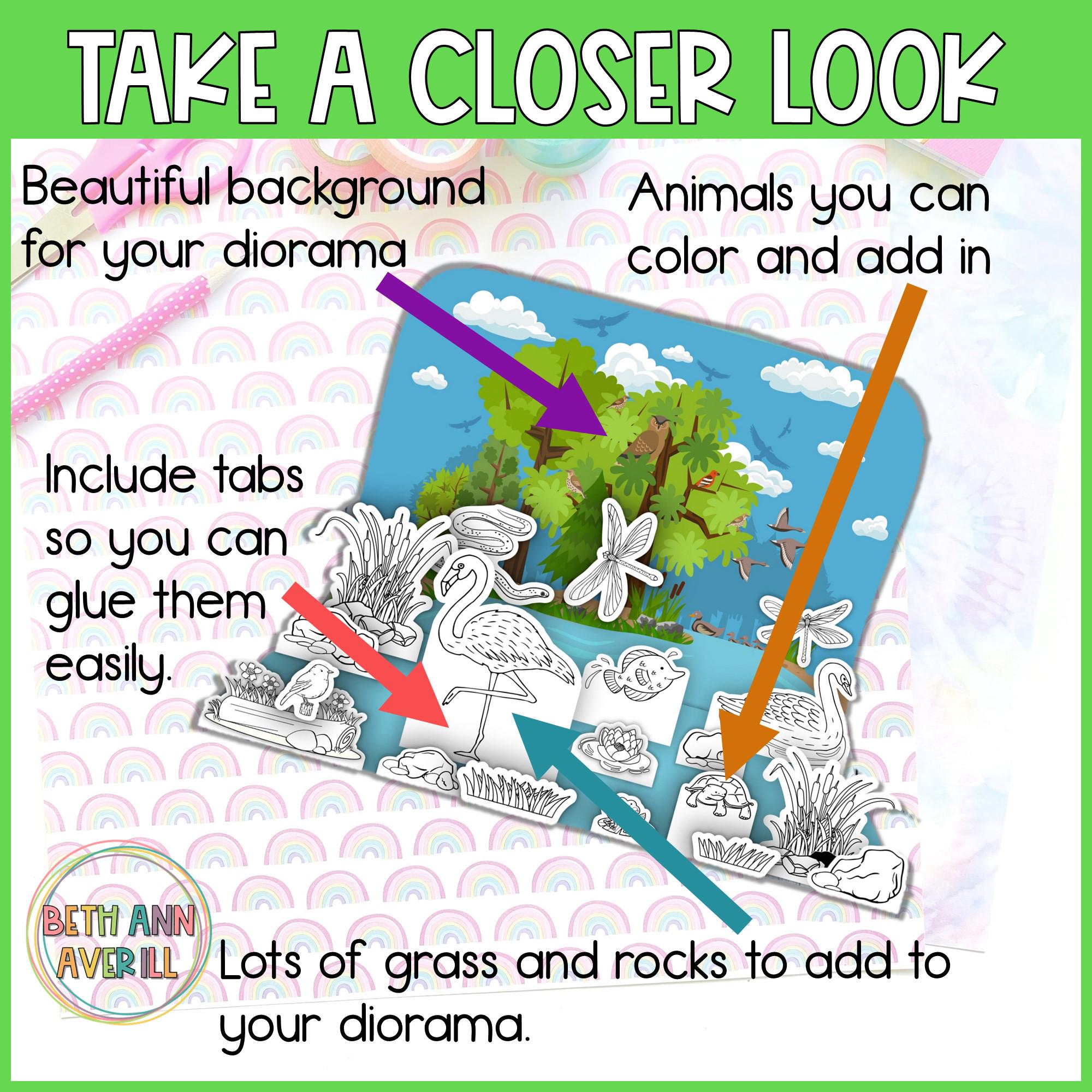 Pond Habitat Diorama Printable Craft Activity Swamp Theme Diorama ...