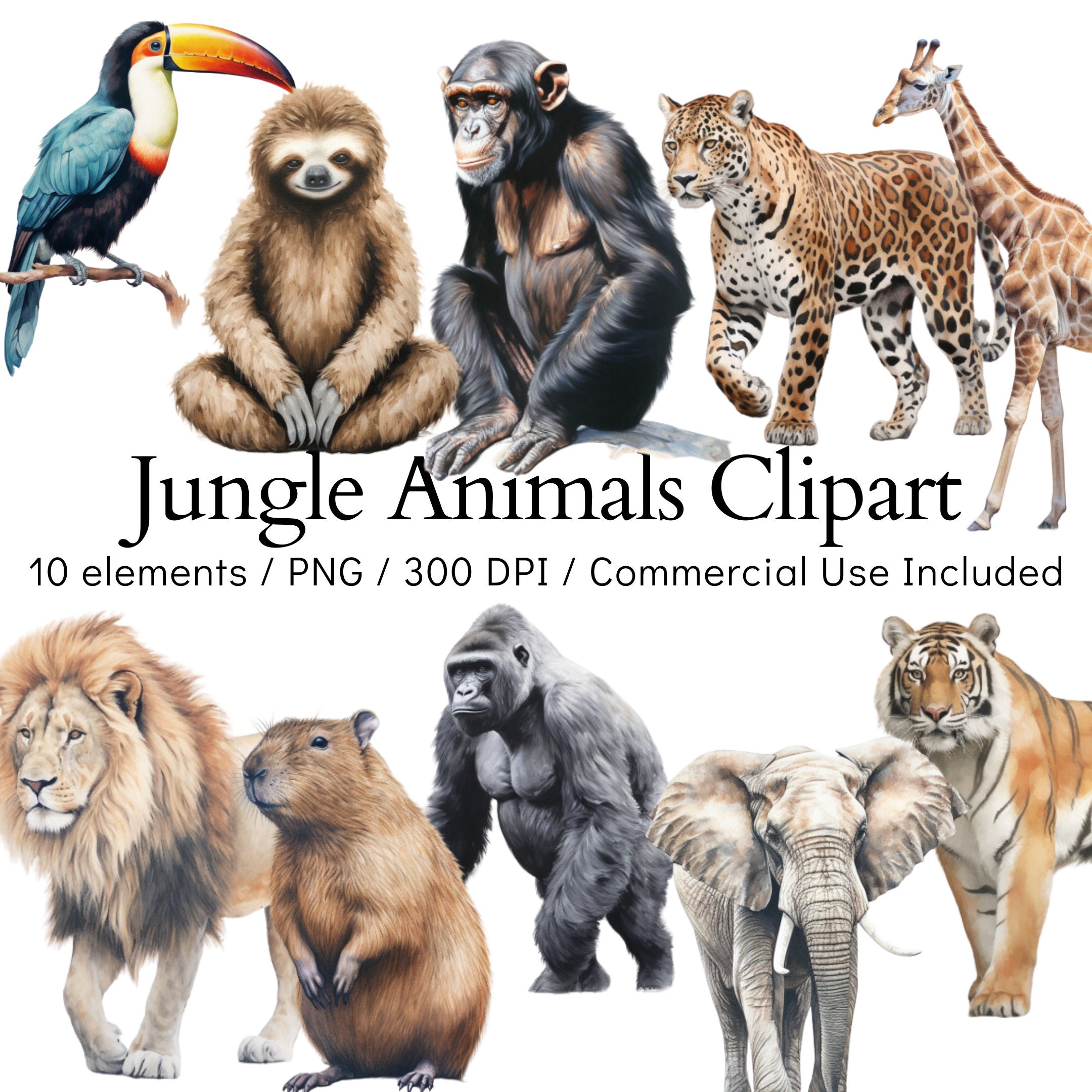 Safari Jungle Animals Clipart Acrylic Painting Jungle Safari Realistic ...