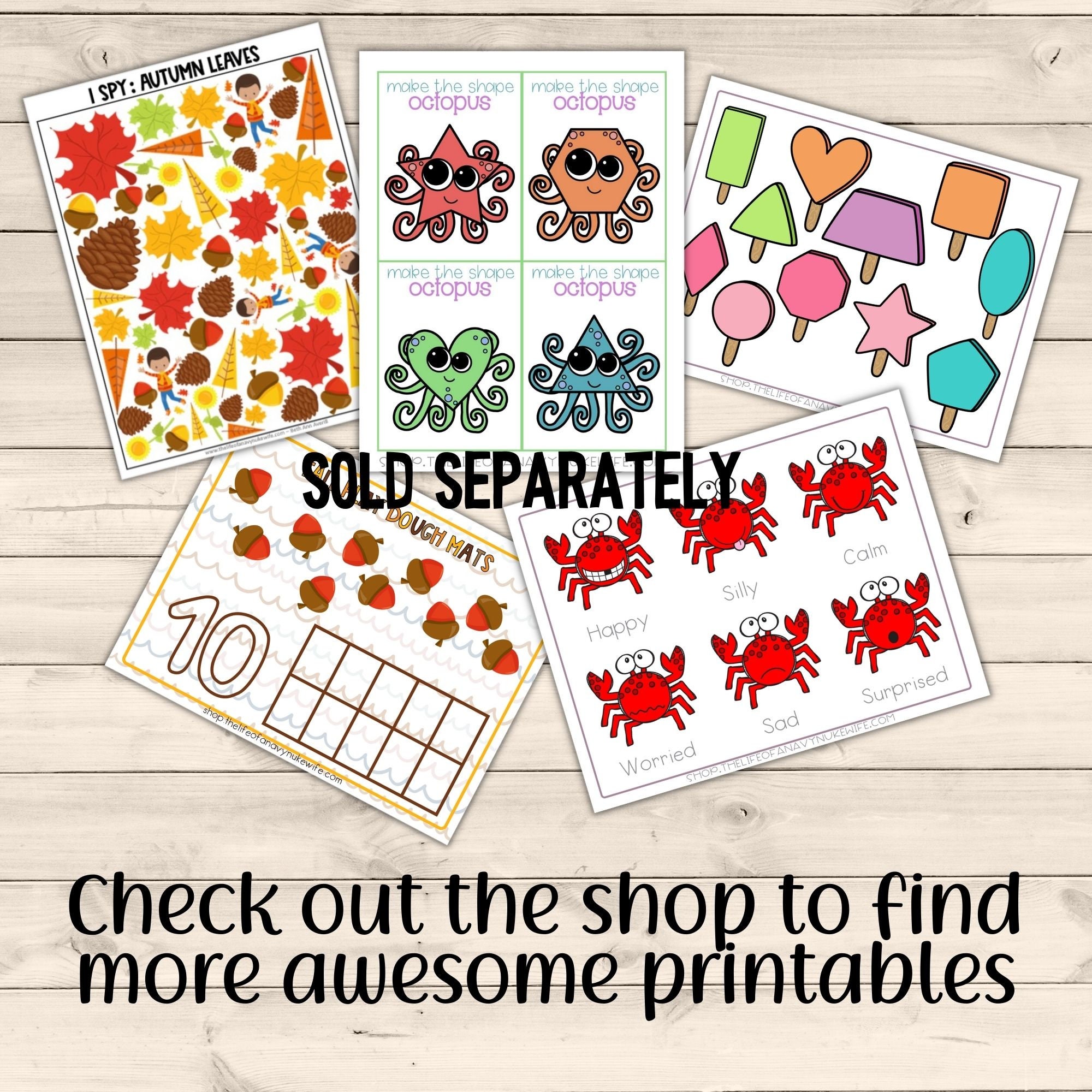 Hoja De Trabajo Sobre El Ciclo De Vida De Una Calabaza El Zapallo De