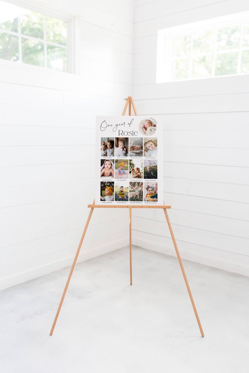 Editable Baby's First Year Poster Template Modern 1st - Etsy