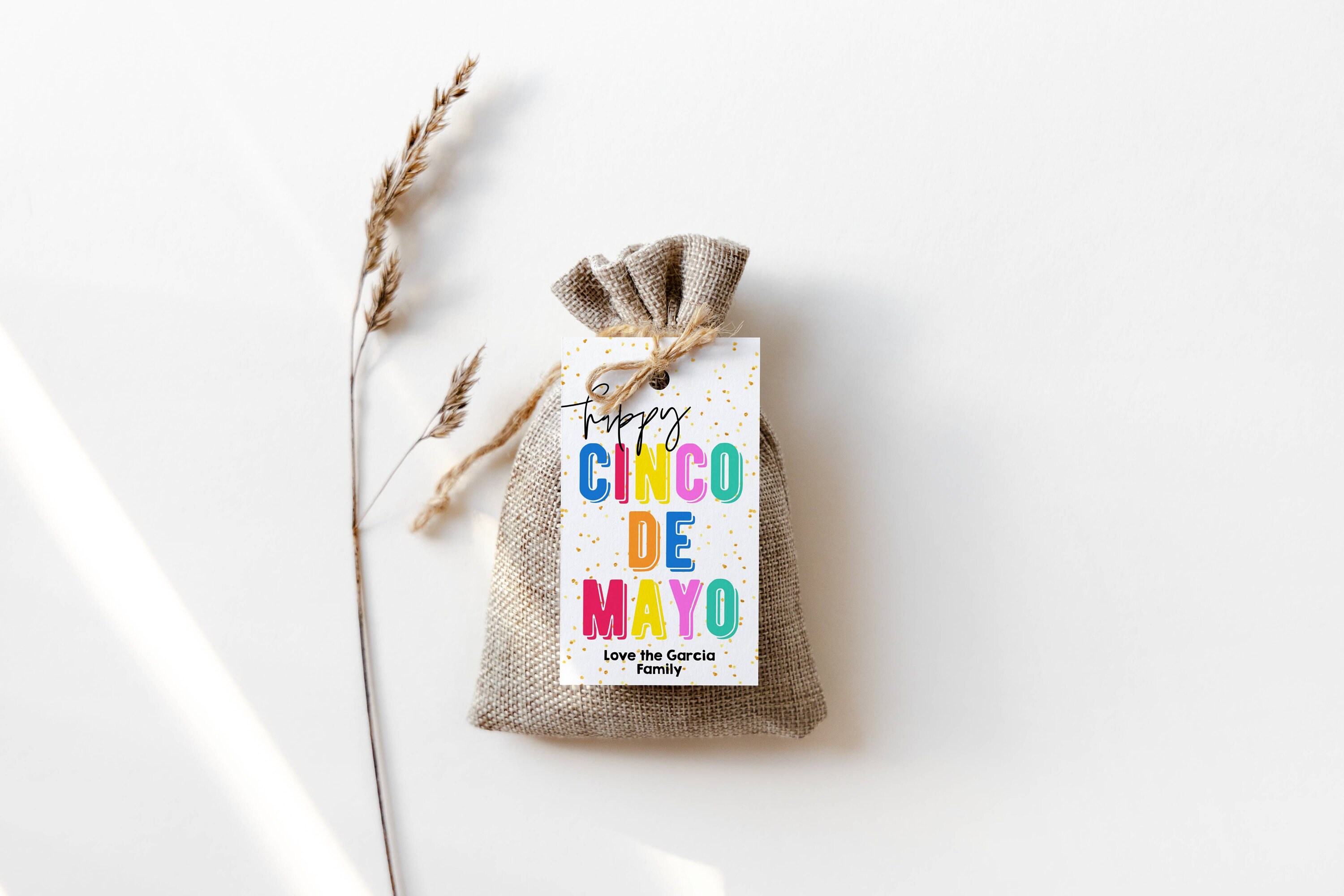 Happy Cinco De Mayo Gift Tag Template Printable 5th of May - Etsy