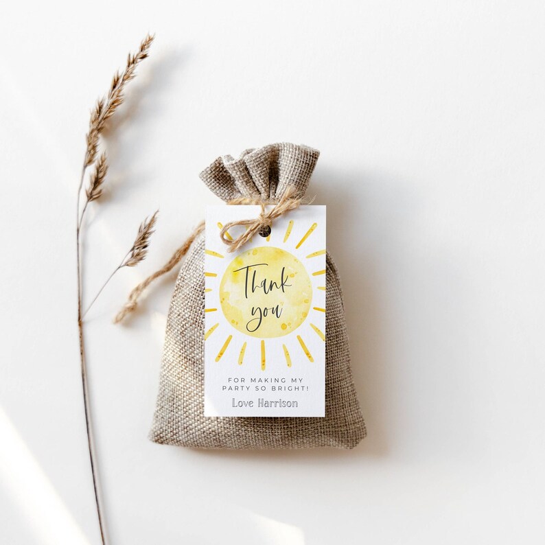 Editable Sun Birthday Favor Tag Template, Printable Little Sunshine ...
