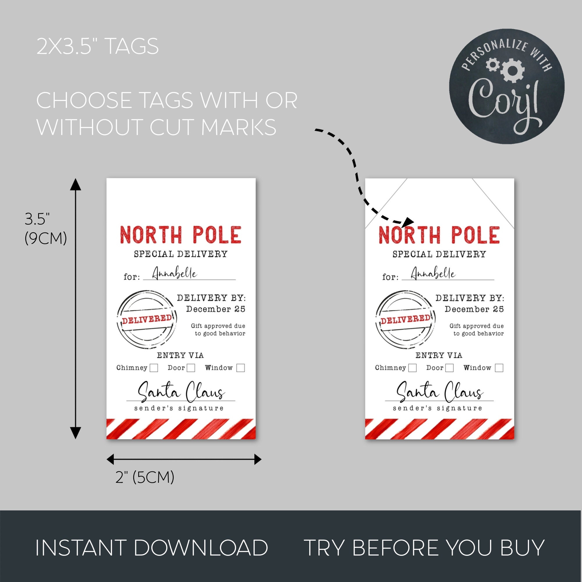 Printable North Pole Special Delivery Tag Template Editable | Etsy ...