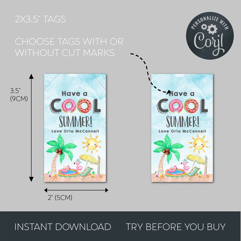 Have A Cool Summer Gift Tag Template Printable End of School - Etsy Canada