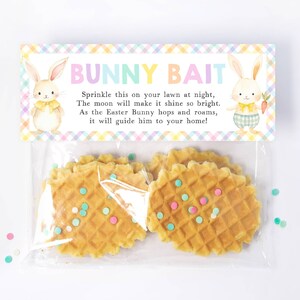Easter Bunny Bait Bag Toppers, Printable School Easter Basket Treat Bag ...