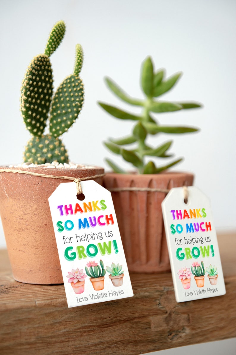 Succulent Teacher Appreciation Tag Template, Printable Thank You for ...