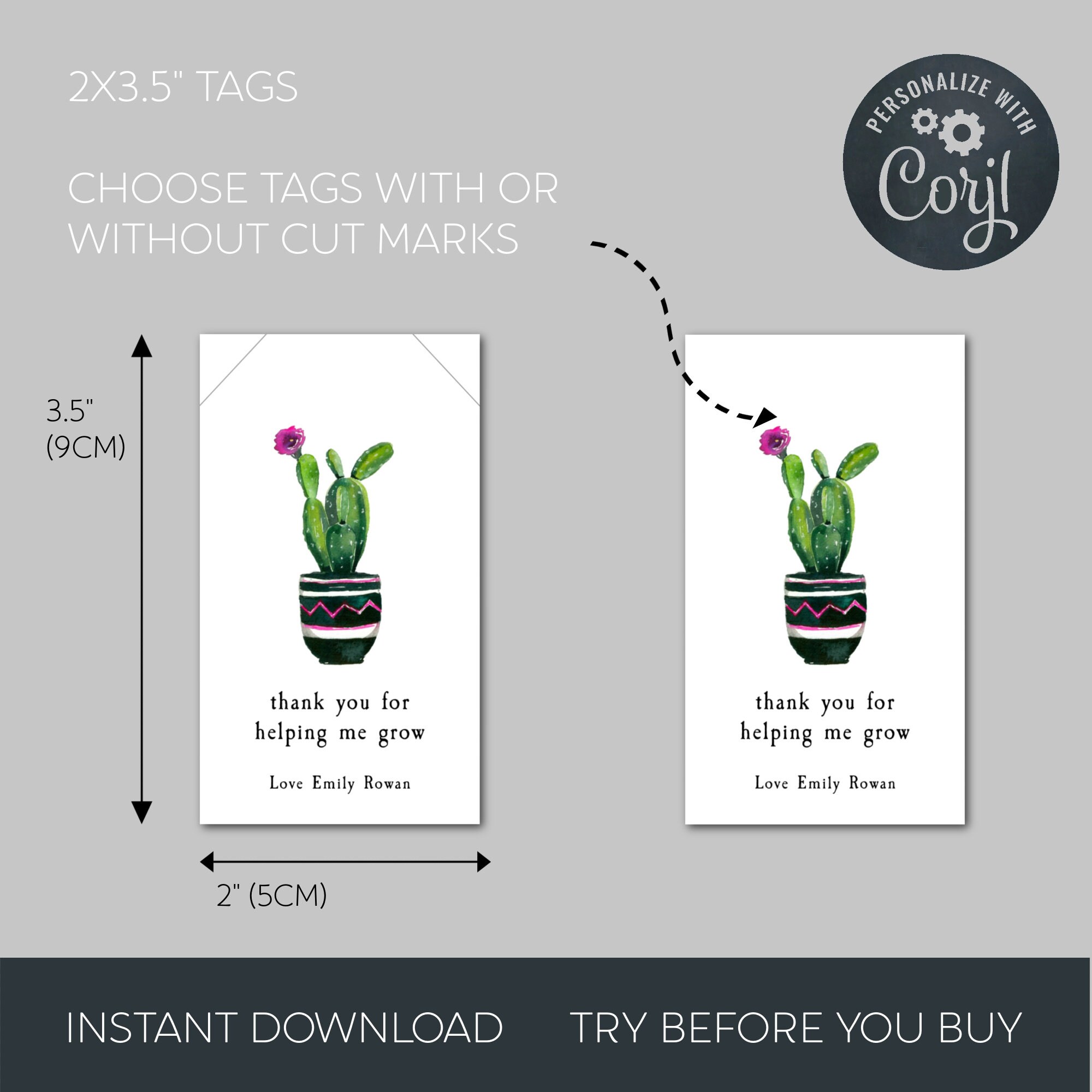 Minimalist Cactus Teacher Appreciation Tag Template, Printable Thank ...