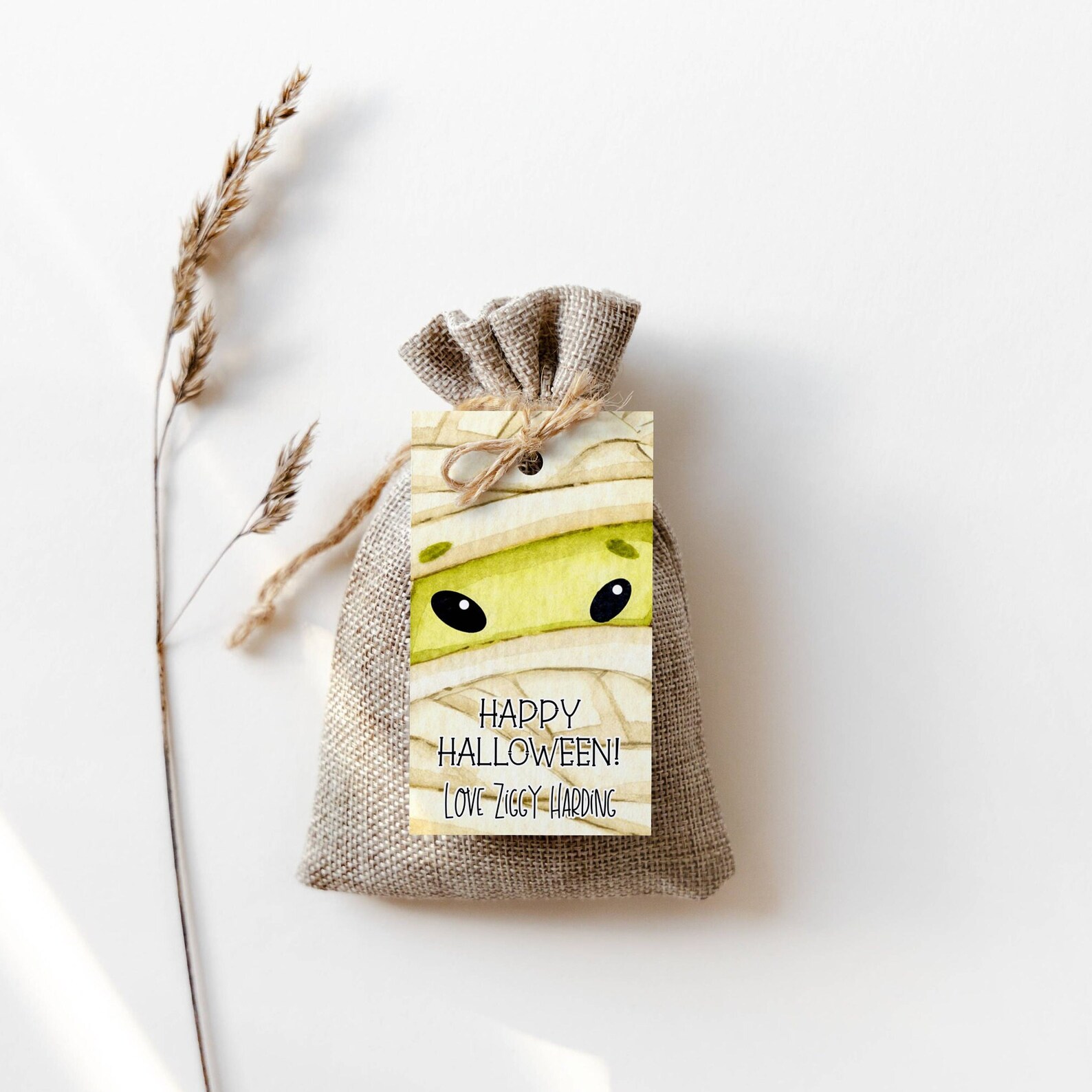 Halloween Mummy Favor Tag Template, Printable Bandage Face Gift Tags ...