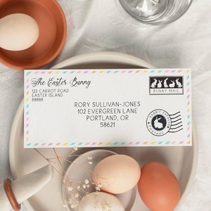 Editable Letter From the Easter Bunny Envelope Template, Printable ...