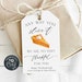We Need S'more Teachers Like You Gift Tag Template, Printable Smores ...