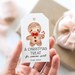 Gingerbread Man Christmas Gift Tag Template, Printable Cute Holiday ...