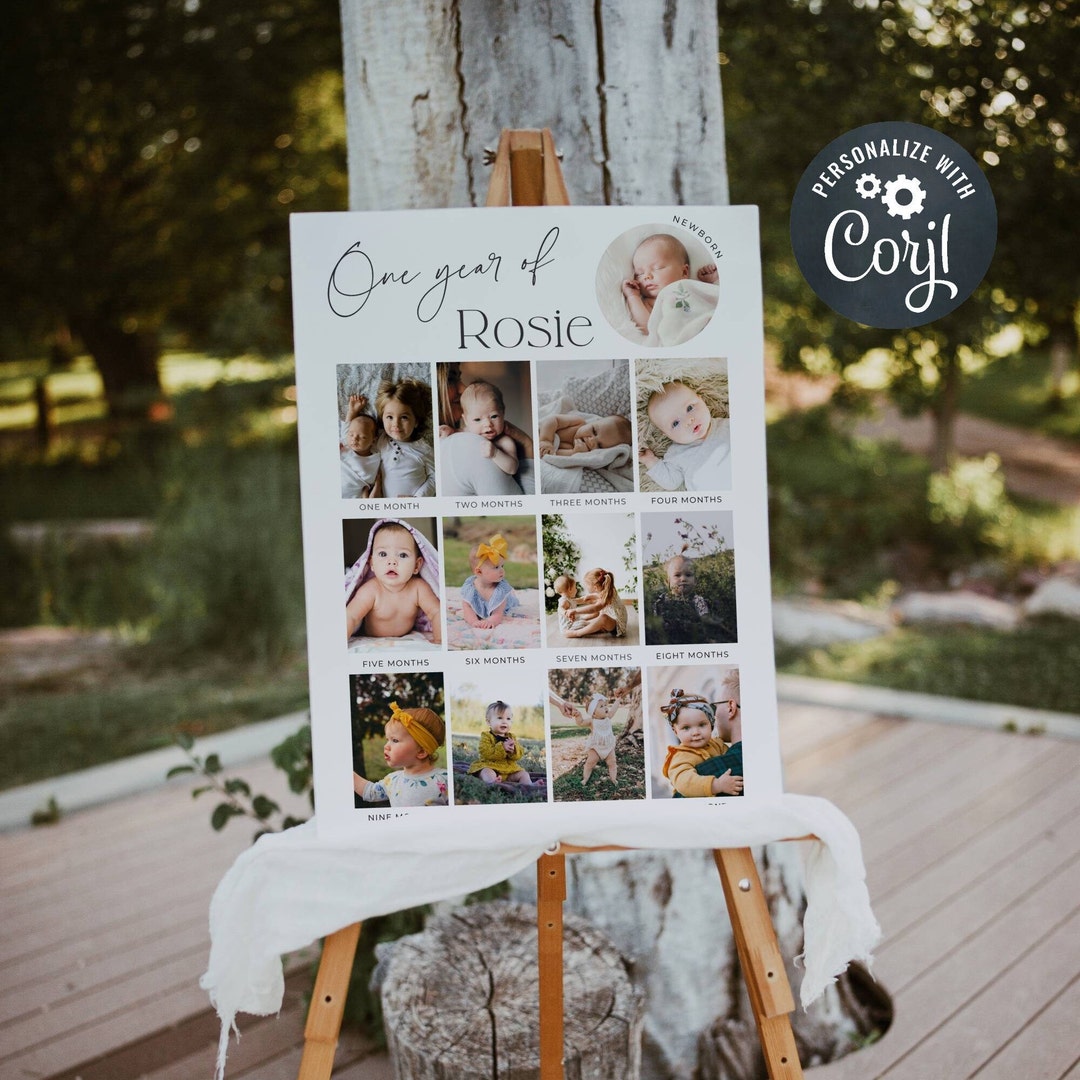 Editable Baby's First Year Poster Template Modern 1st - Etsy UK