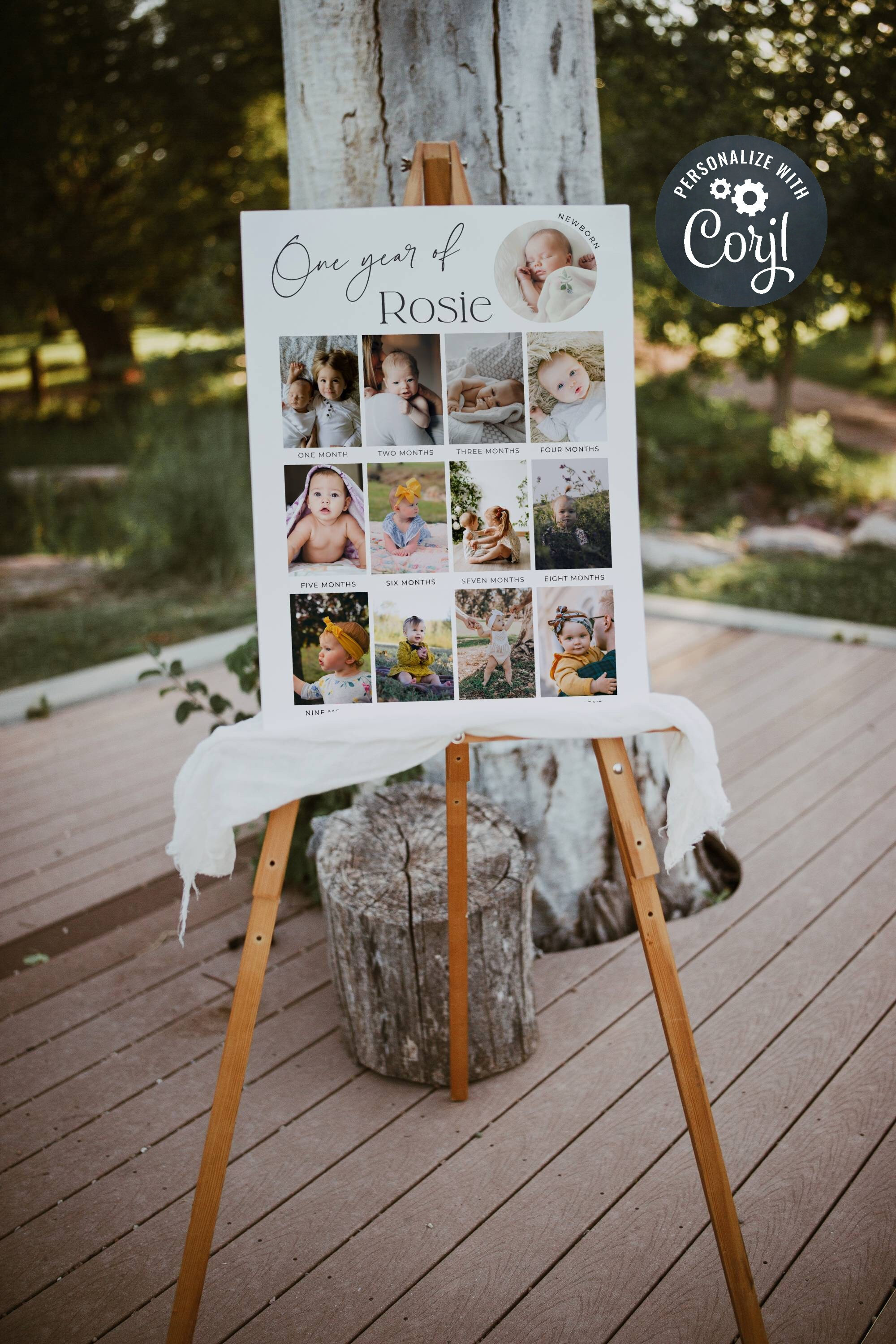 Editable Baby's First Year Poster Template Modern 1st - Etsy UK