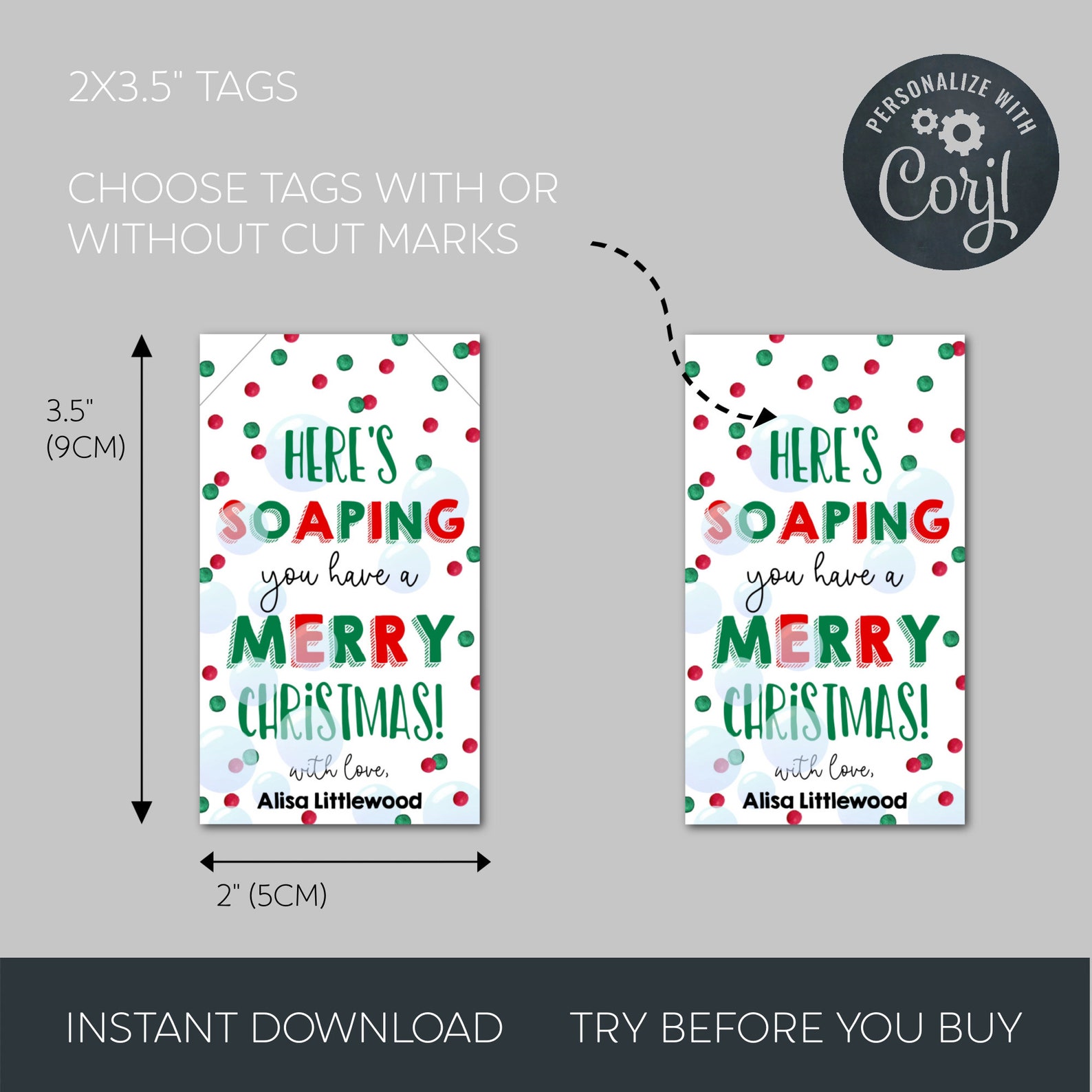 Soapin You Have A Merry Christmas Gift Tag Template, Printable Holiday ...