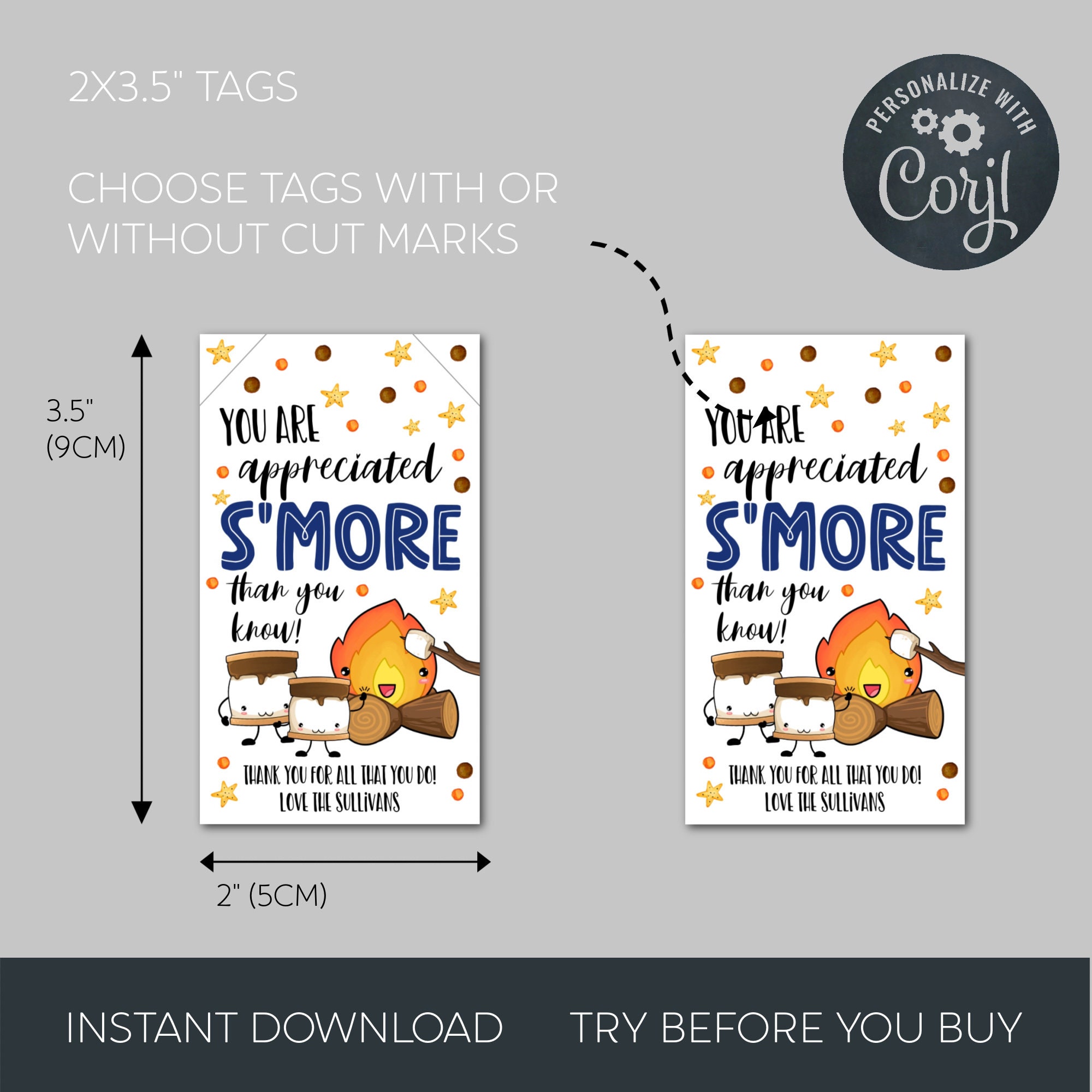 Editable S'mores Gift Tag Template, Printable Appreciated Smore Than ...