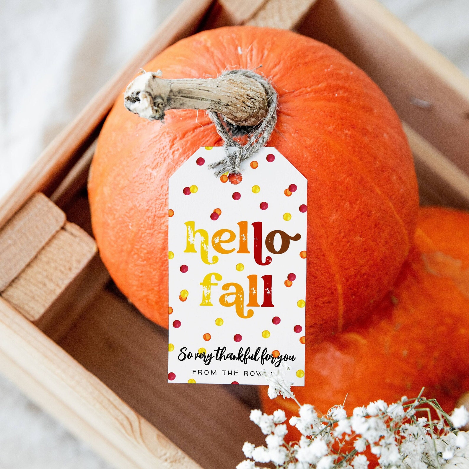 Hello Fall Gift Tag Template, Printable Happy Fall Favor Tag, Editable ...