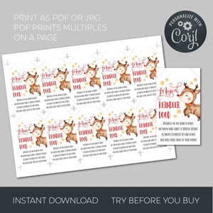 Printable Magical Reindeer Food Tag Template, Editable Christmas Eve ...