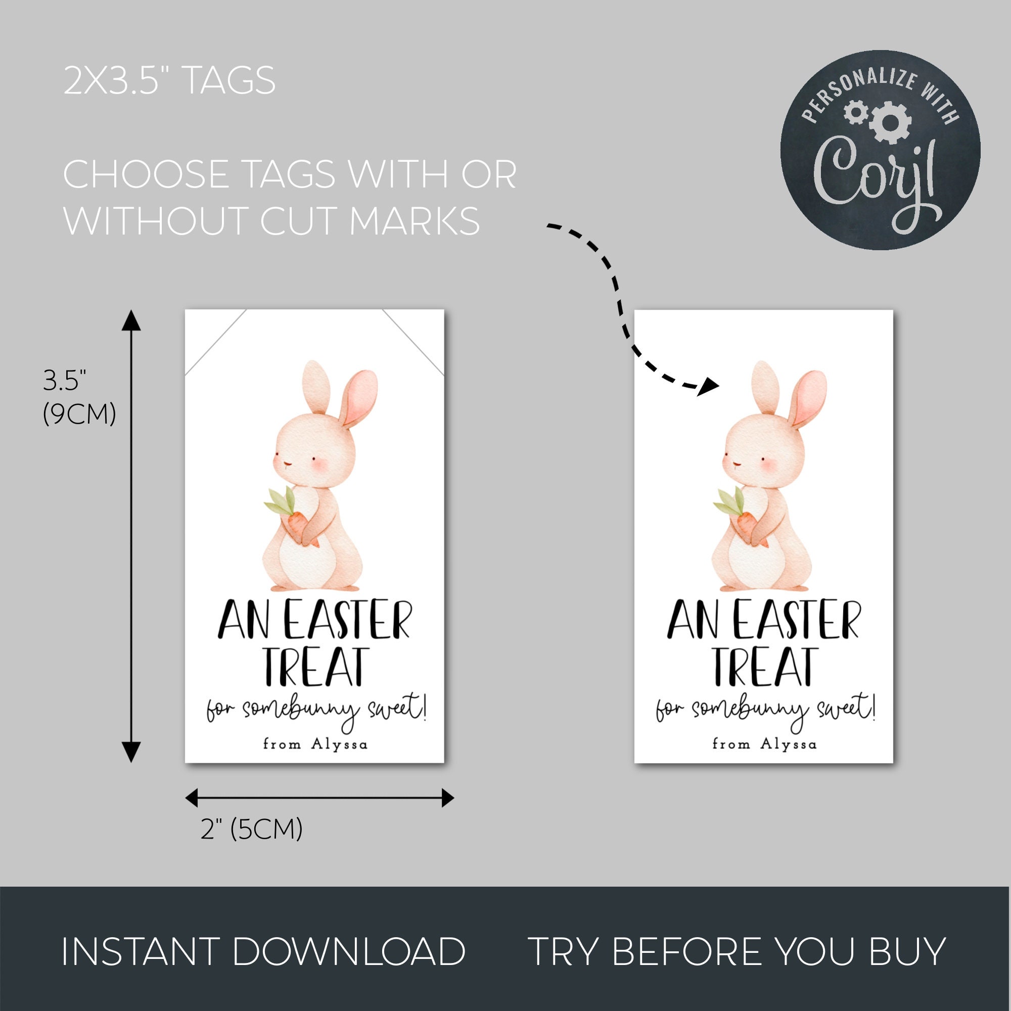 Easter Bunny Printable Gift Tag Template an Easter Treat for - Etsy