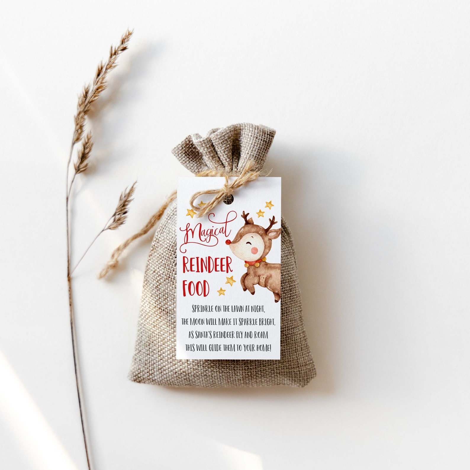 Printable Magical Reindeer Food Tag Template, Editable Christmas Eve ...