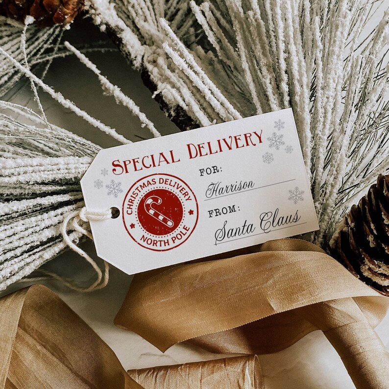 Printable Christmas Special Delivery Tag Template, Editable Santa North ...