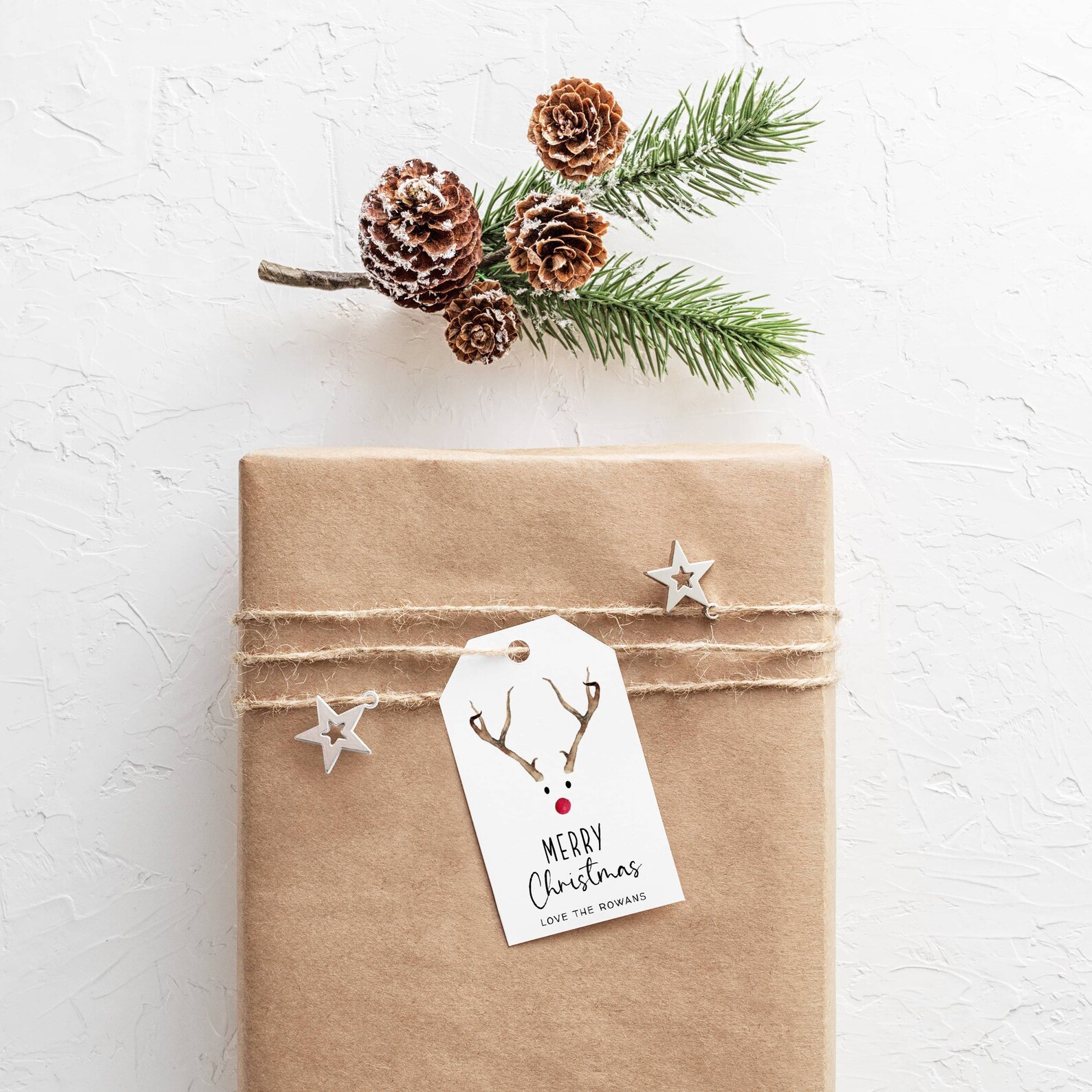 Reindeer Christmas Gift Tag Template Printable Cute Holiday | Etsy