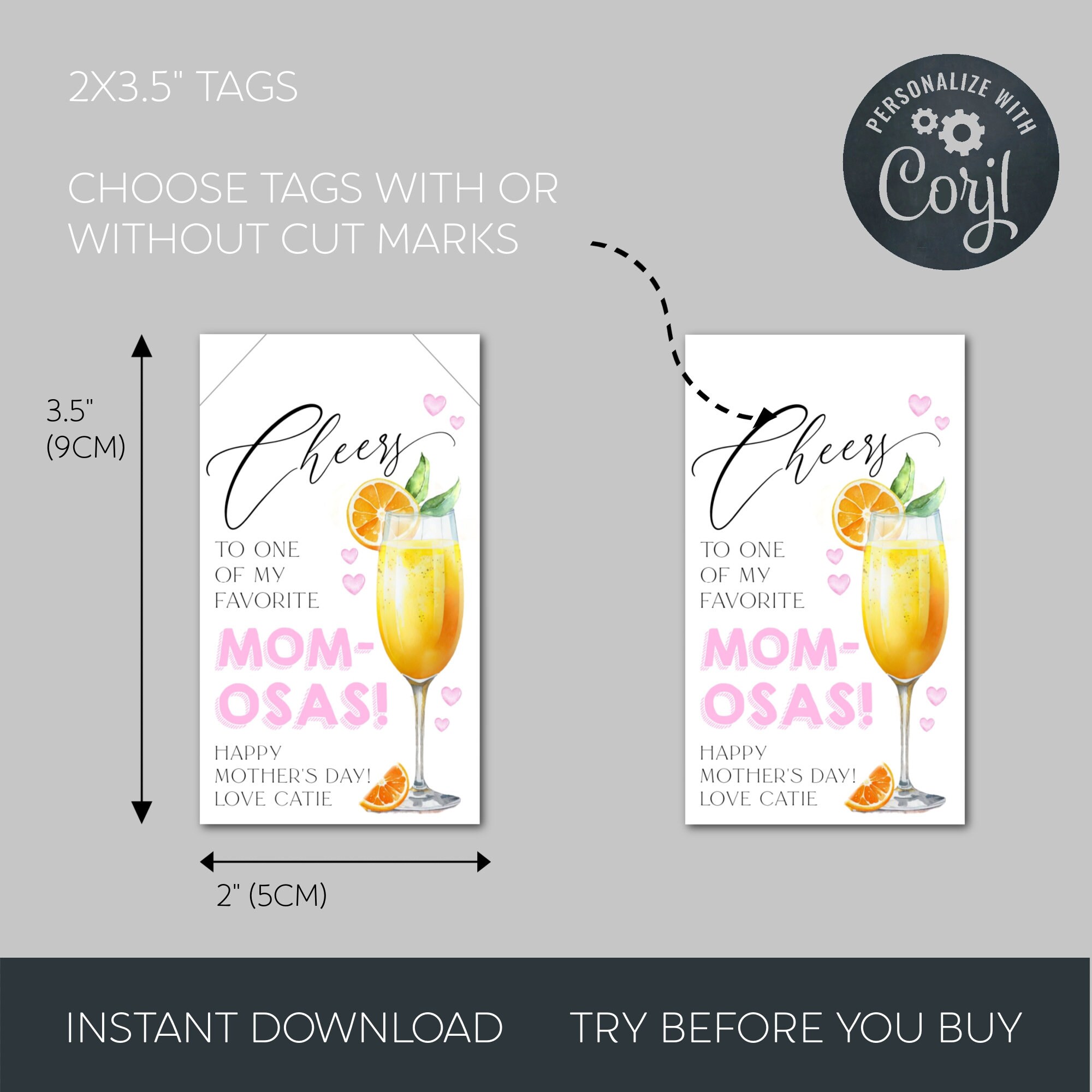 Mimosa Mother's Day Gift Tag Template, Printable Cheers to My Favorite ...