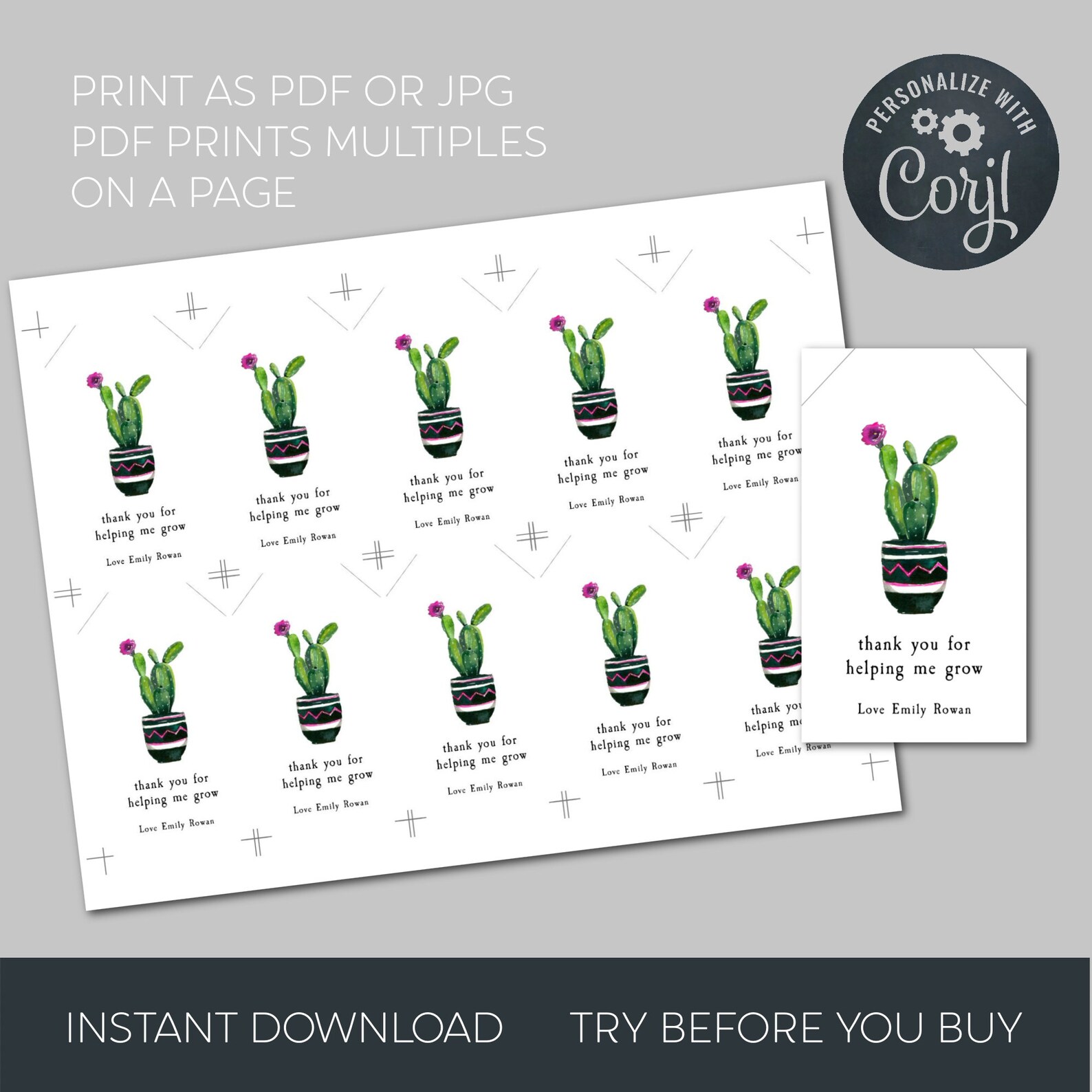 Minimalist Cactus Teacher Appreciation Tag Template, Printable Thank ...