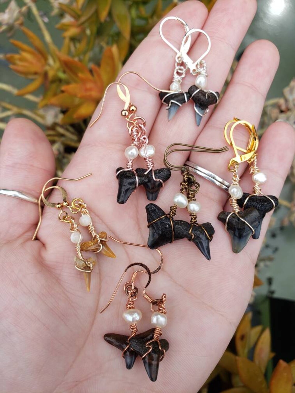 Wire wrapped sharks tooth earrings and pearl accent. Shark | Etsy