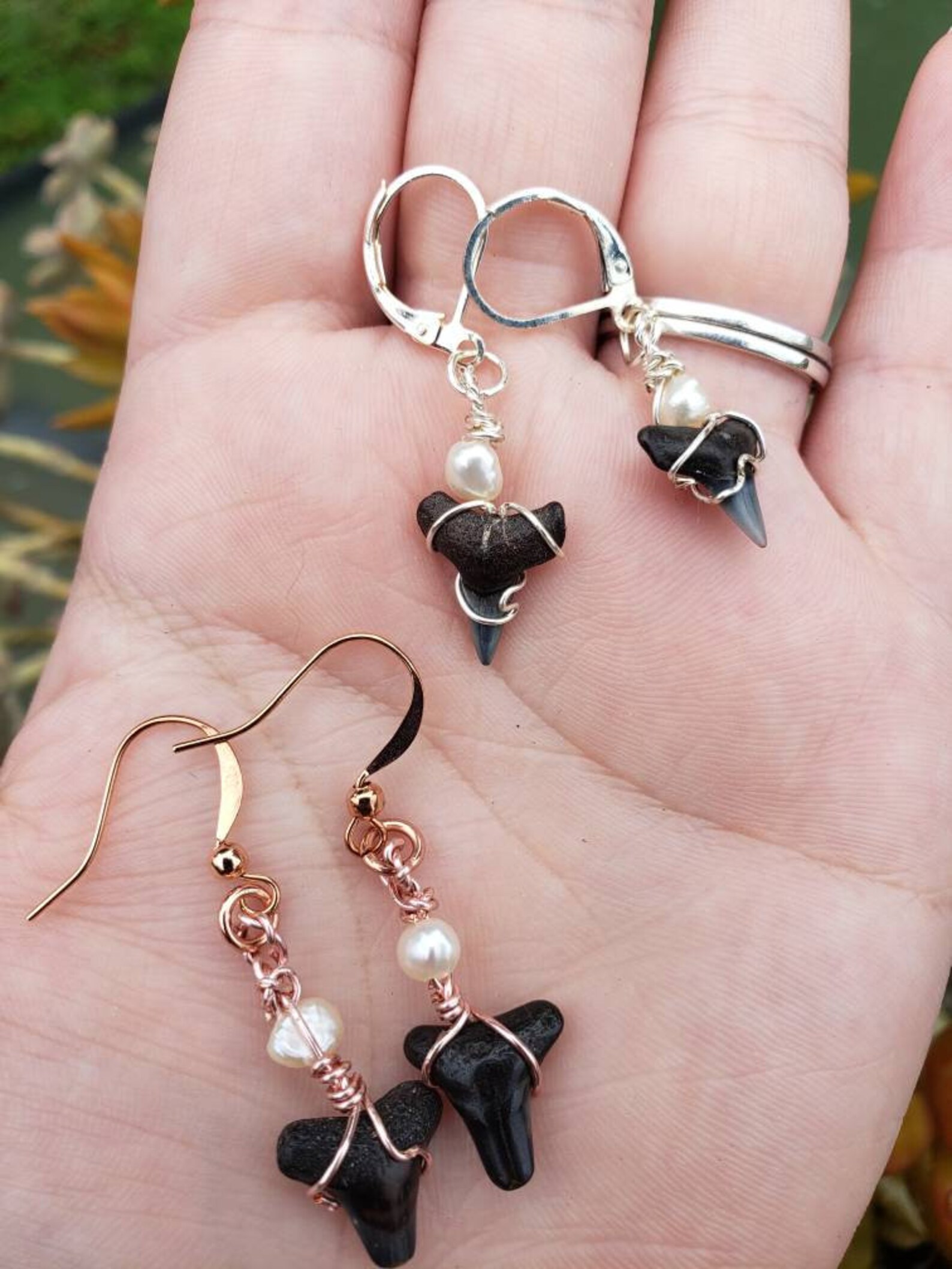 Wire wrapped sharks tooth earrings and pearl accent. Shark | Etsy