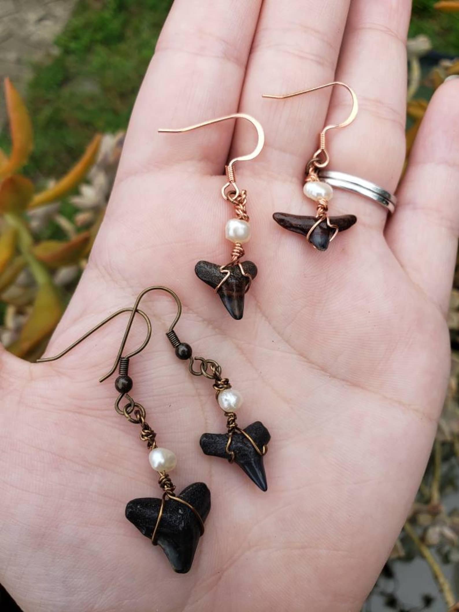Wire wrapped sharks tooth earrings and pearl accent. Shark | Etsy