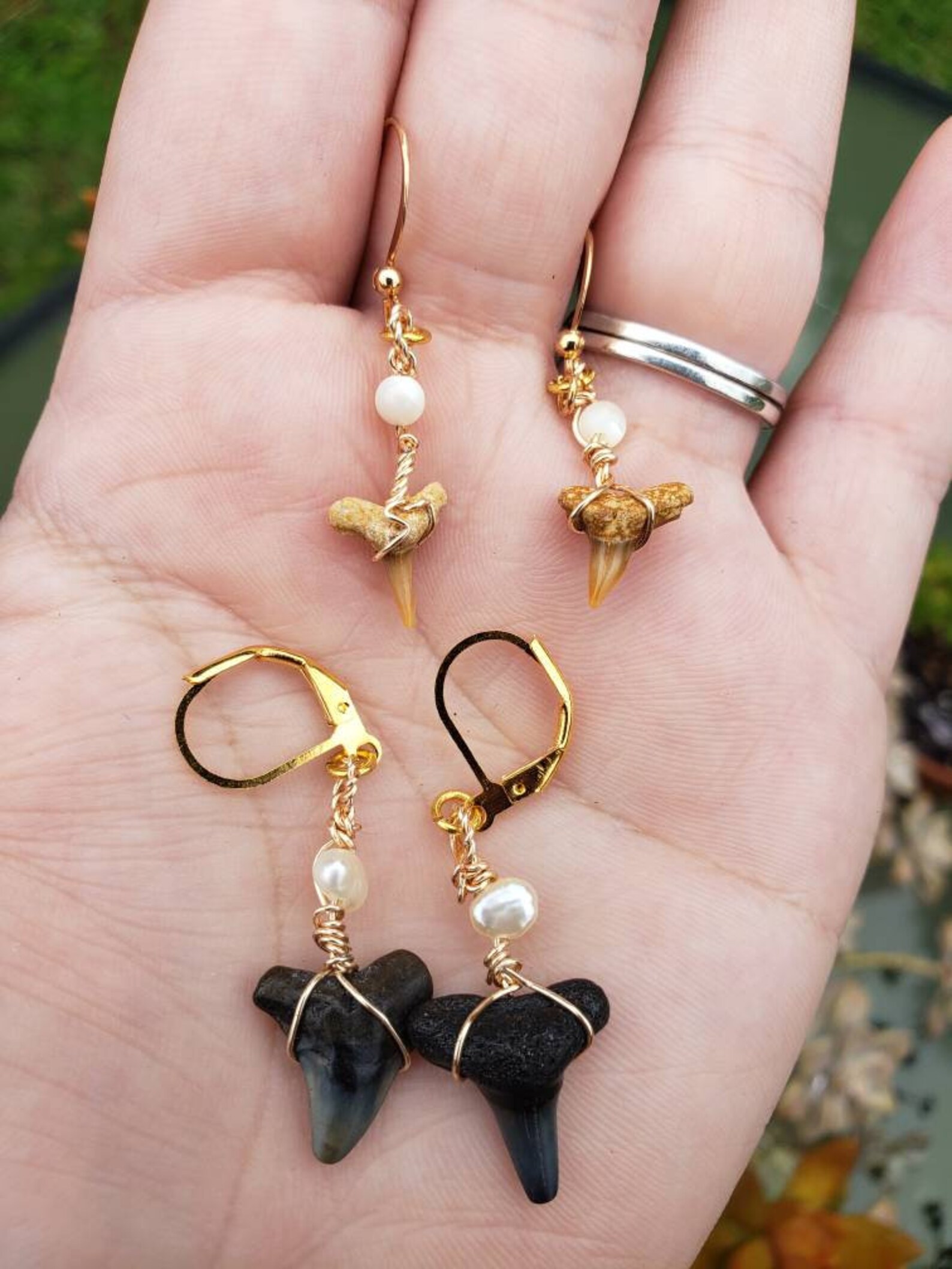 Wire wrapped sharks tooth earrings and pearl accent. Shark | Etsy