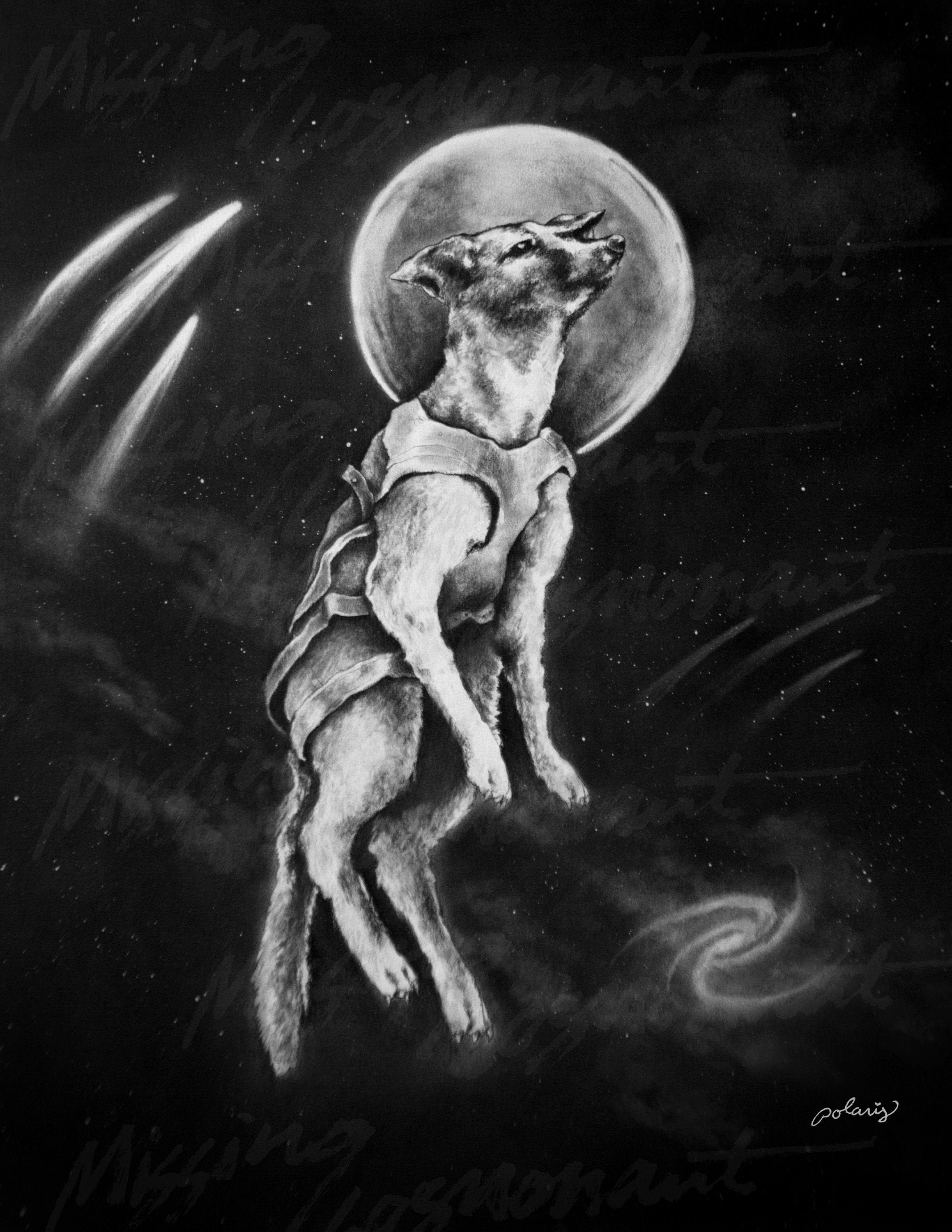 Laika First Dog in Space Matted Print Astronaut Cosmonaut | Etsy