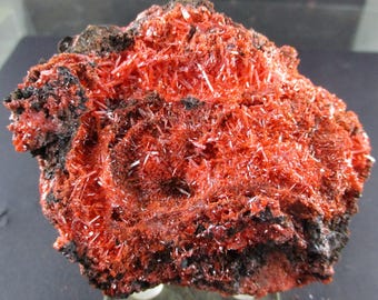 Crocoite, Red Lead Mine - Etsy