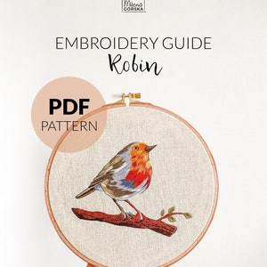 PDF Embroidery Pattern ROBIN | Modern Embroidery, Hand Embroidery ...