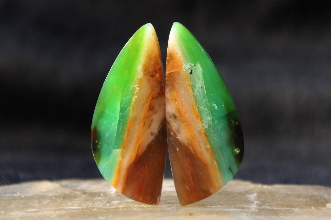 Natural Blue Opalized Petrified Wood Pairs From Indonesia Beautiful ...