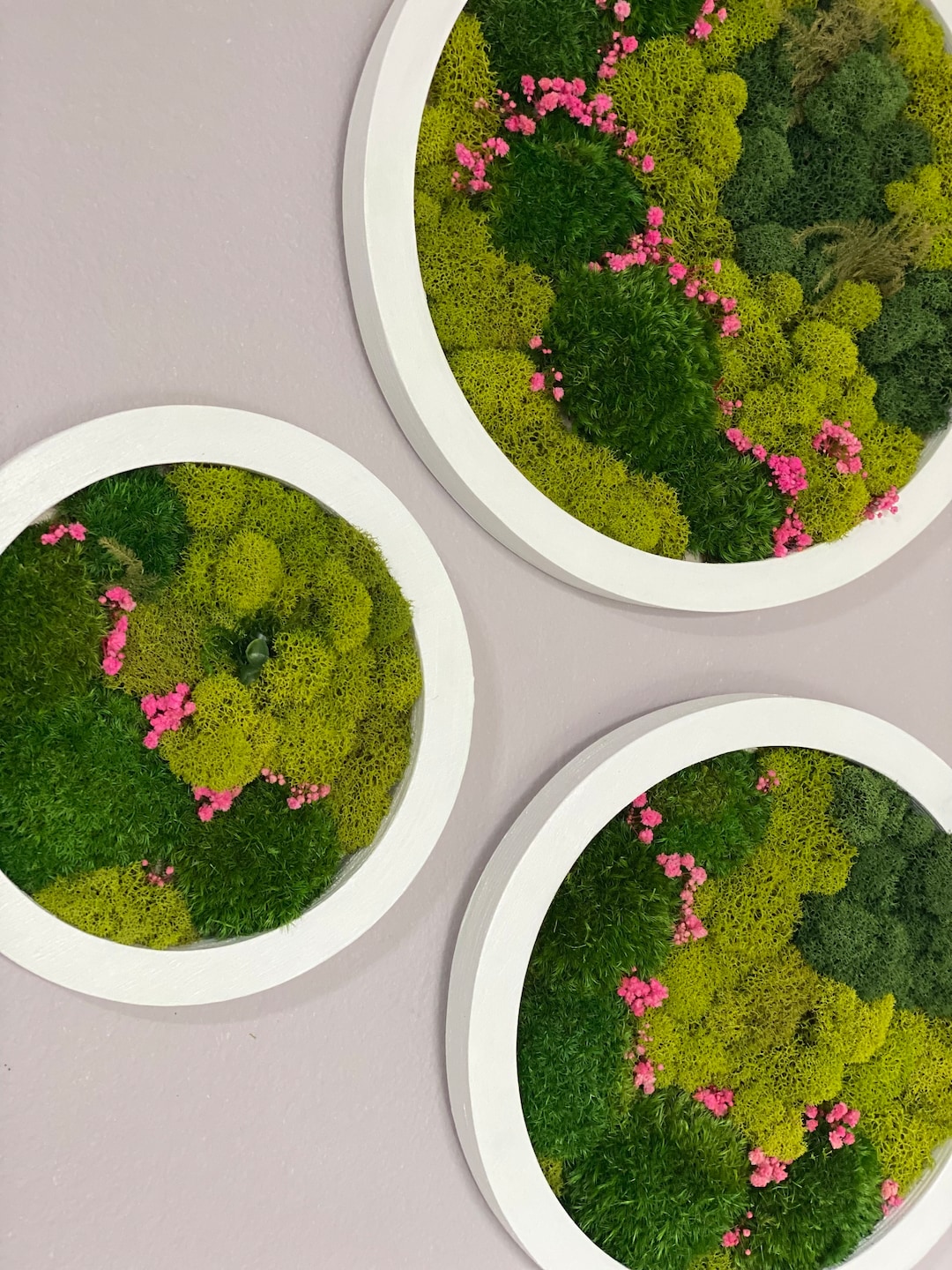 Round Moss Wall Pink Flowers Green Forest Art Vertical Garden Designed ...