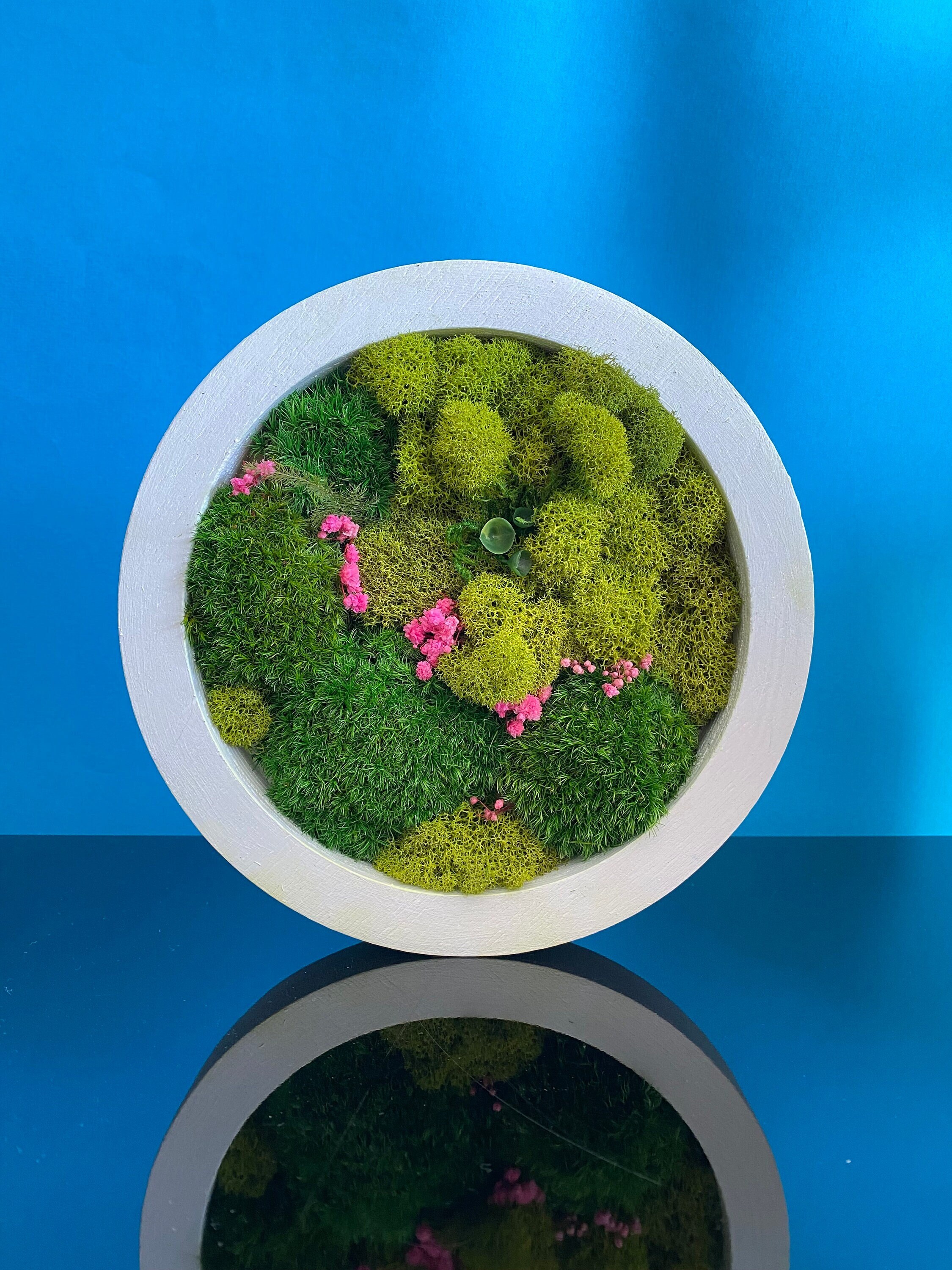 Round Moss Wall Pink Flowers Green Forest Art Vertical Garden Designed ...