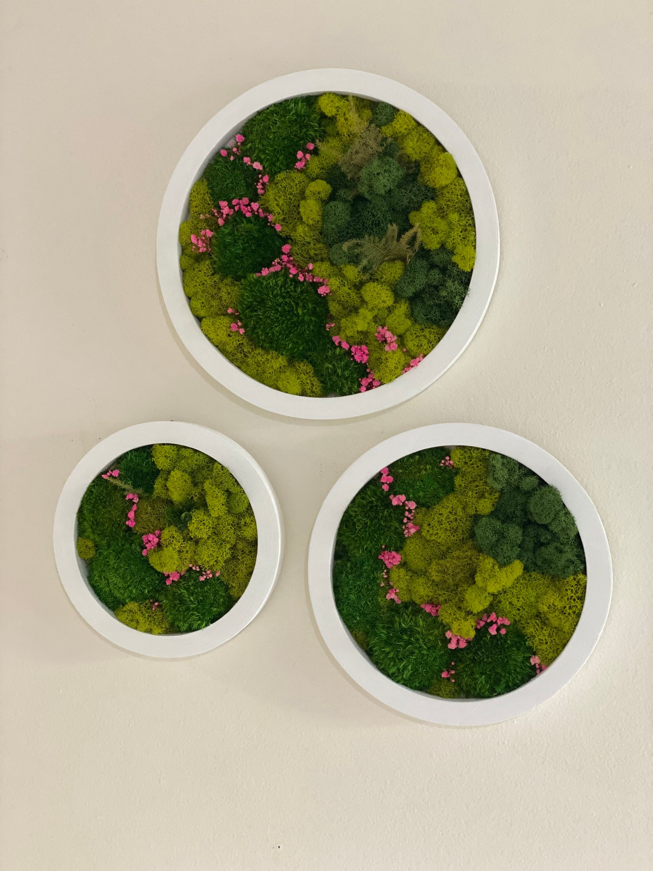 Round Moss Wall Pink Flowers Green Forest Art Vertical Garden Designed ...