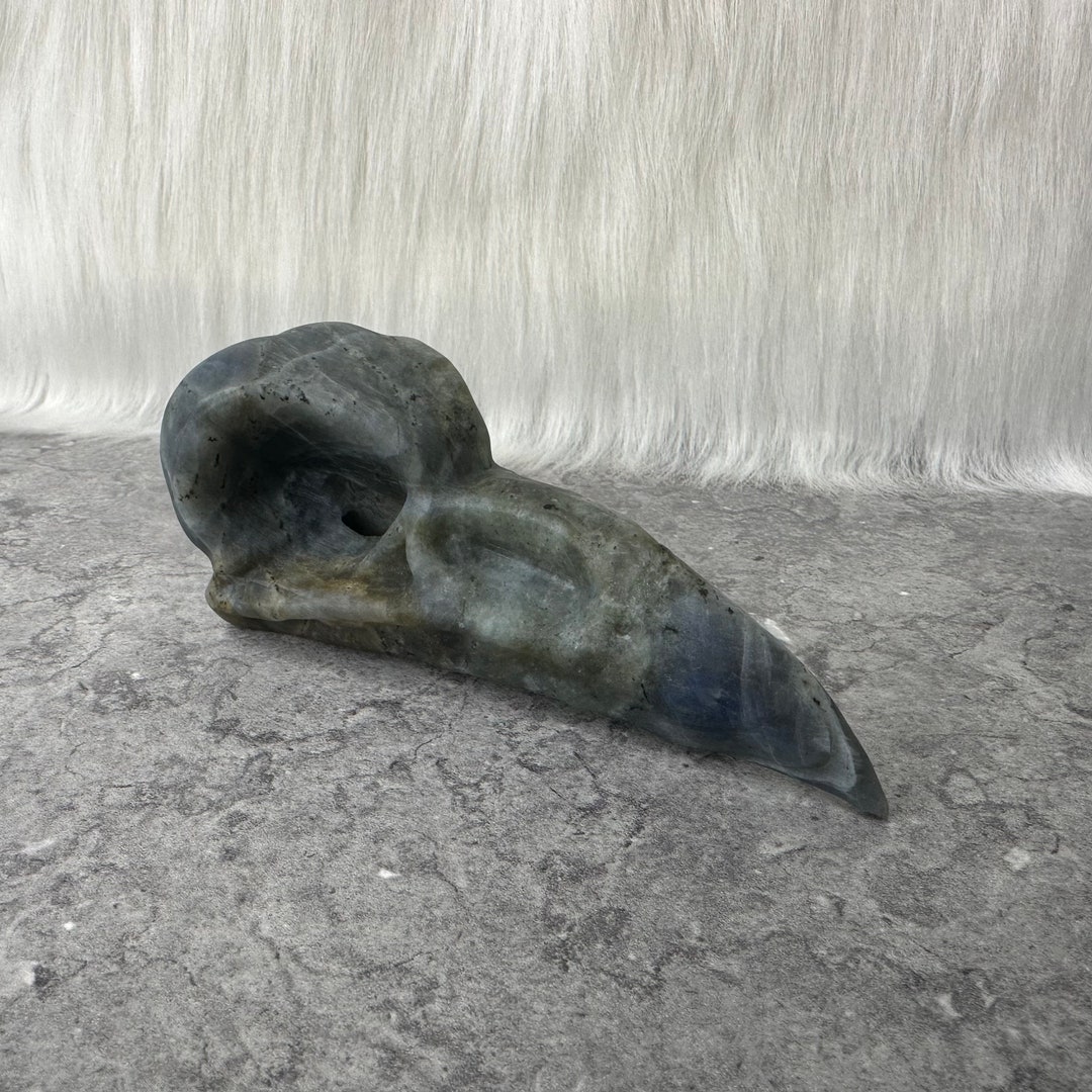 148g Matte Labradorite Raven Skull Head - Raven Skull - Crystal Bird ...