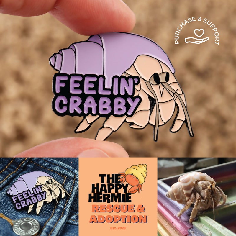 Crab Pin - Etsy
