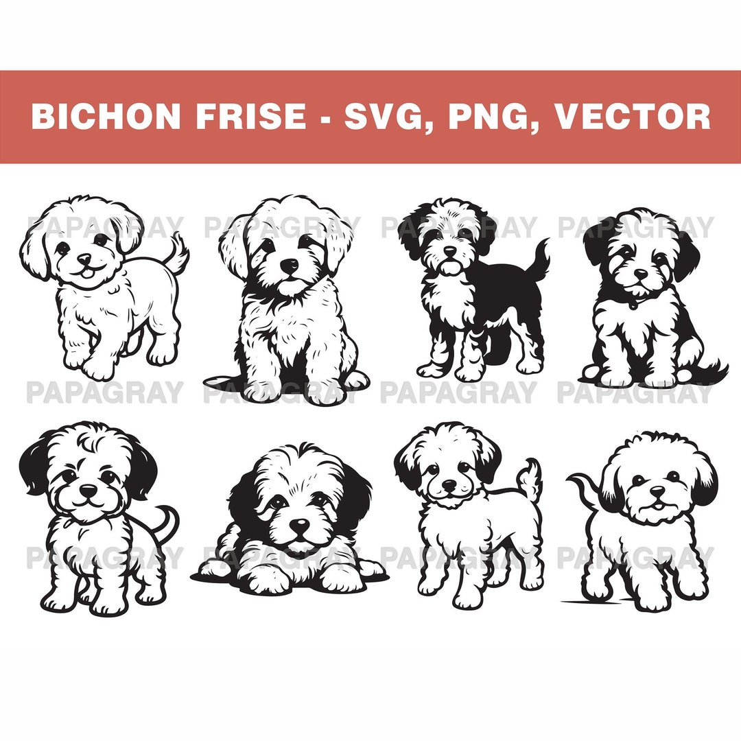 Bichon Frise Puppy SVG Pack - 8 Designs | Digital Download | Bichon ...